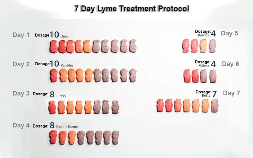 New Cutting Edge Lyme Protocol – ihaslymesdotcom